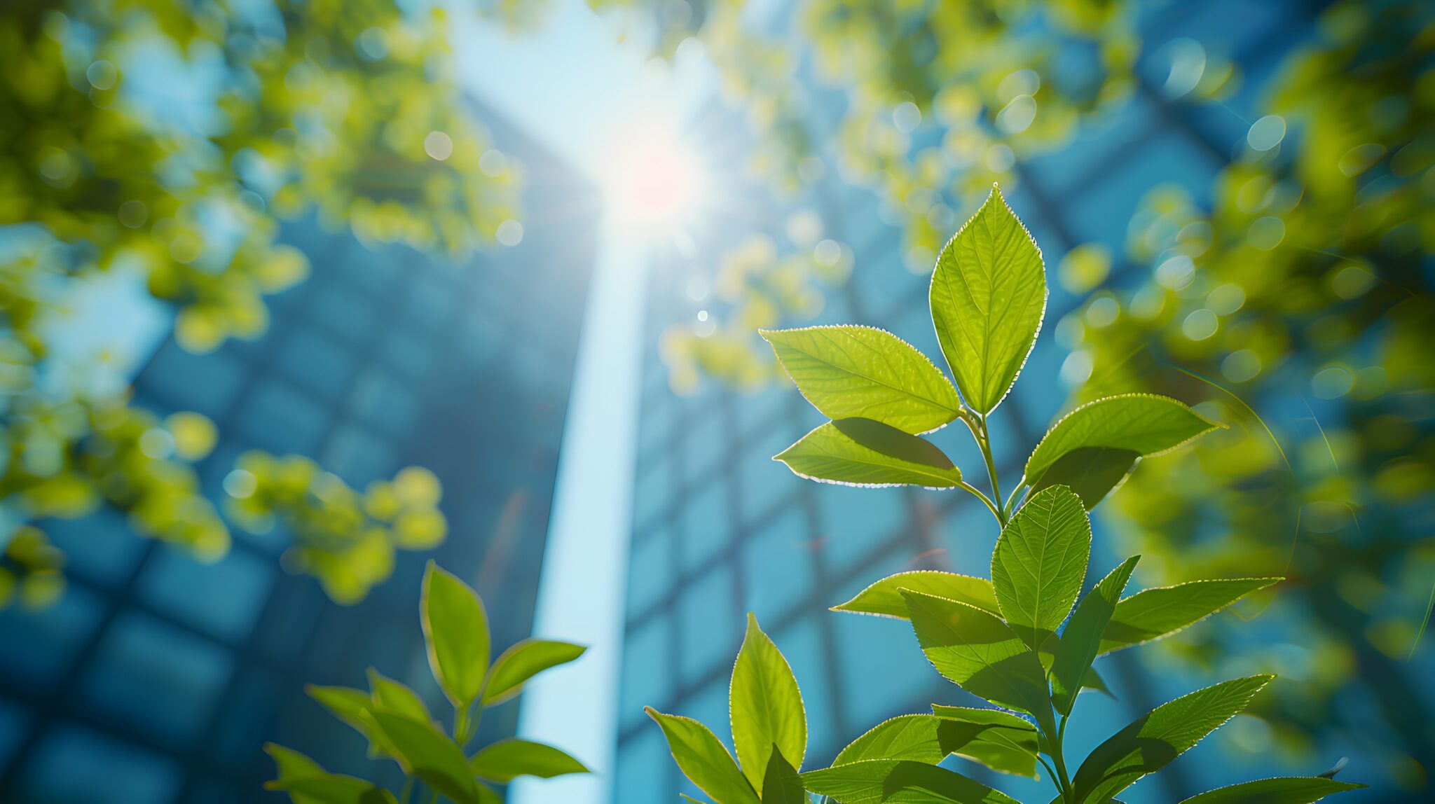 CEE : définition, objectifs, évolutions et étapes clés | MANERGY